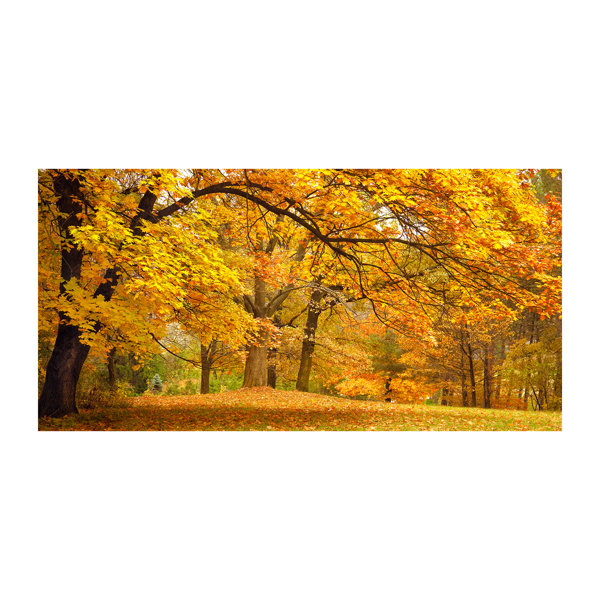 Union Rustic Herbst im Park - Kunstdrucke auf Leinwand - Wrapped Canvas | Wayfair.de